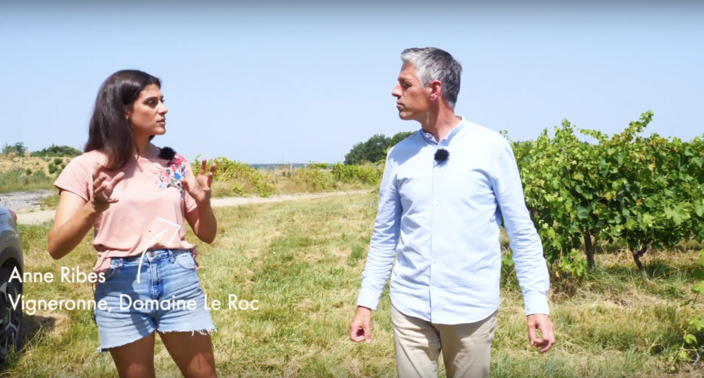 En quoi se distingue l'AOC Fronton ? - Médiavino
